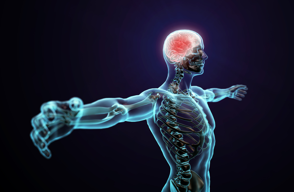 The Raw Power Behind Your Central Nerve System - Part 1 - Ask Dr. Ernst